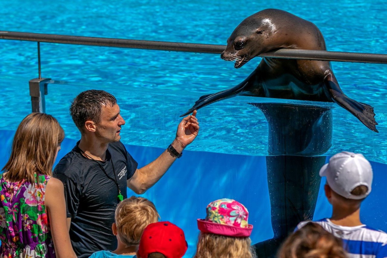 Klaipėdos Jūrų Muziejus: Jūrų Paslapčių Karalystė - Apkeliauk.lt